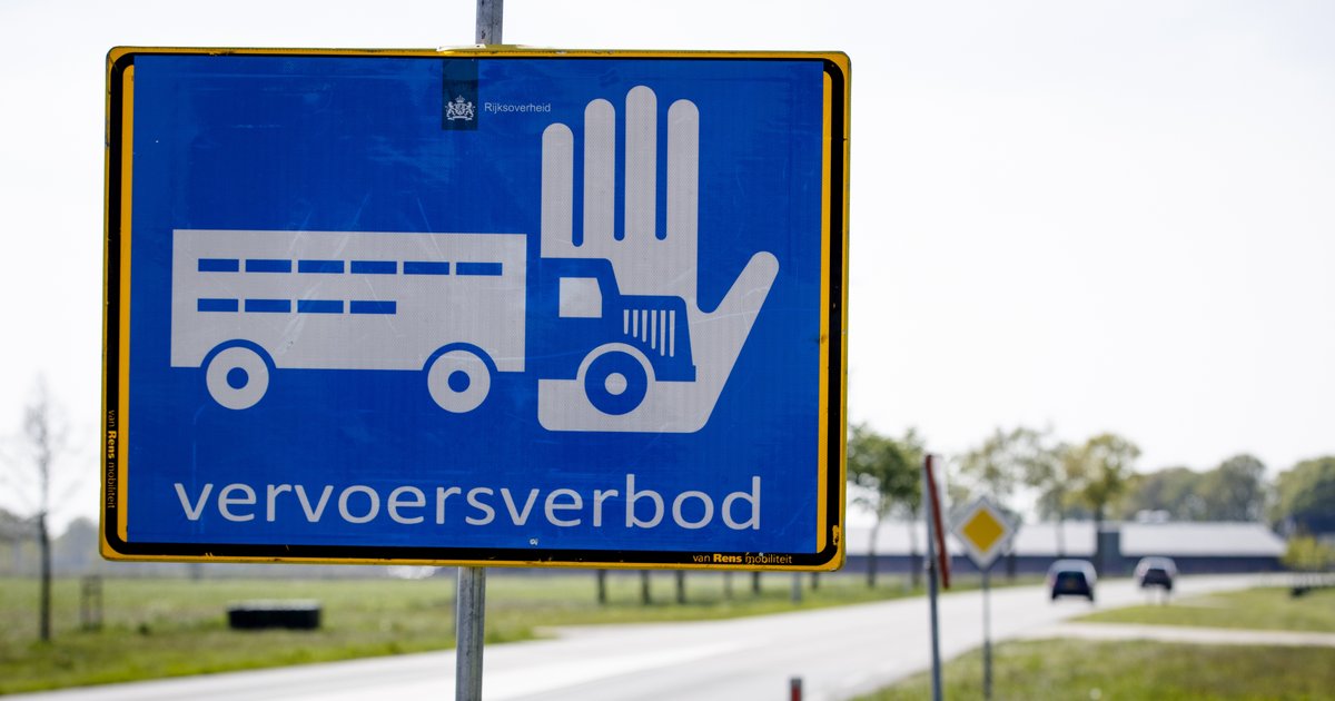 Opnieuw uitbraak van vogelgriep: gaat kippen vaccineren deze keer het verschil maken? 'Kleinere ...