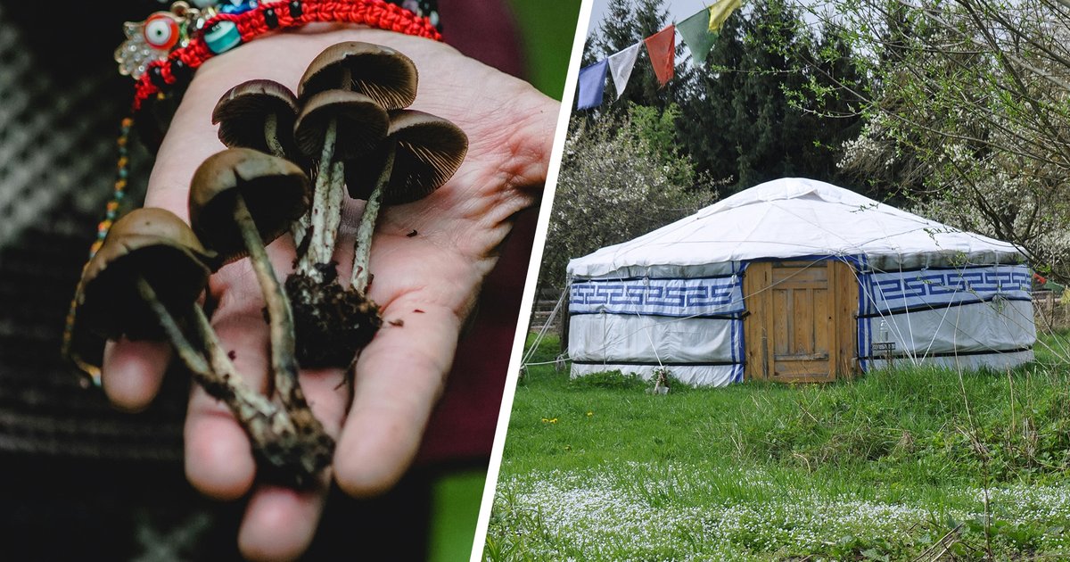 Truffelceremonies als 'behandeling' tegen psychische problemen: dat kan ...