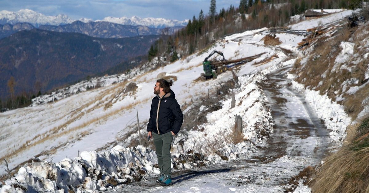 Schade storm Vaia in Italië laat 4 jaar later zien hoe desastreus de ...