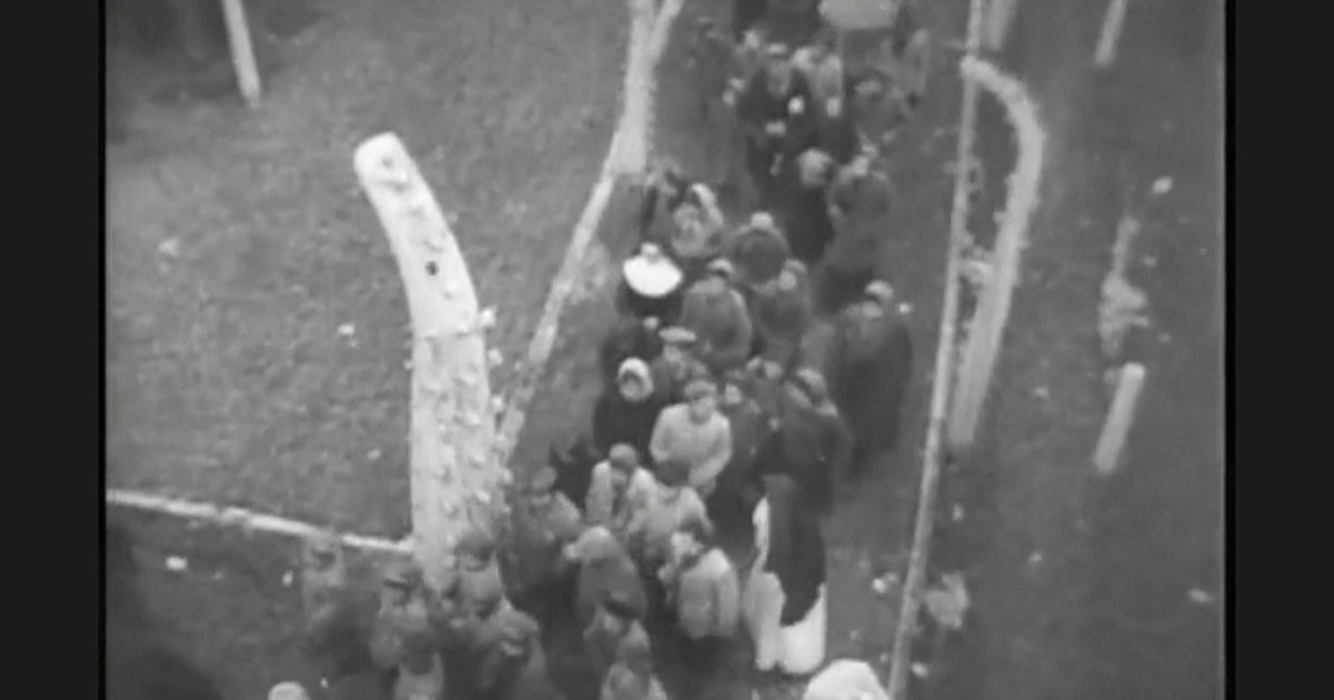 Hoe Nederlandse SS’ers onderdeel waren van Hitlers moordmachine in ...